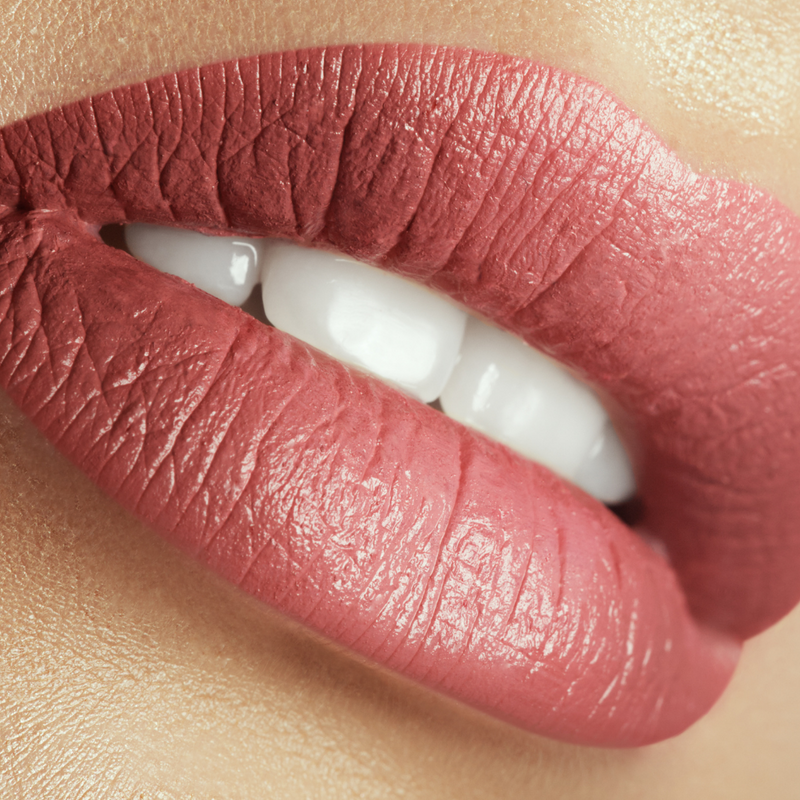 Chloe Lip Kit | Pink Nude Gloss & Liner Duo